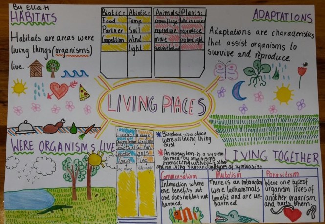 Sketchnote your Science – Dr Sue Pillans
