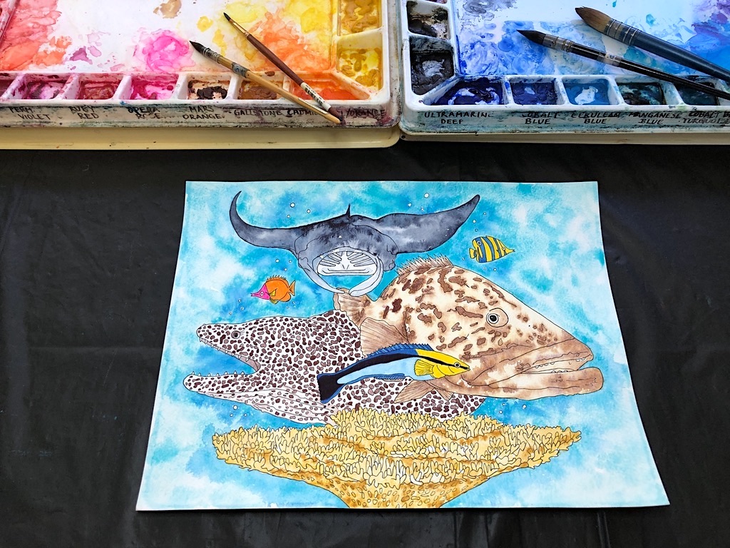 Reef Cleaning Stations – Dr Sue Pillans